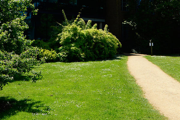 Points of interest | University Parks