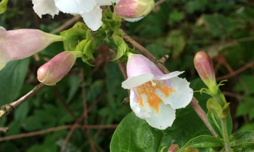 Home | University Parks